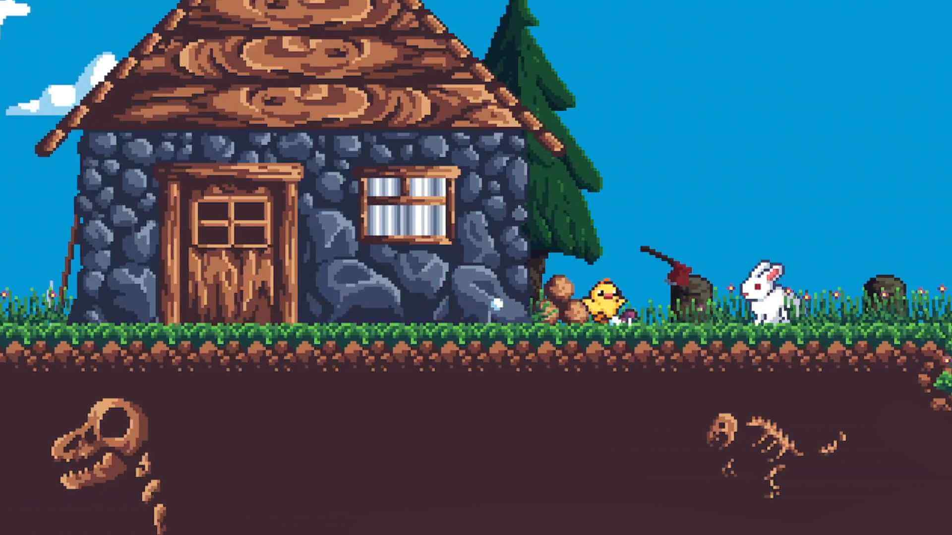 Lost Feather Project - htk academy